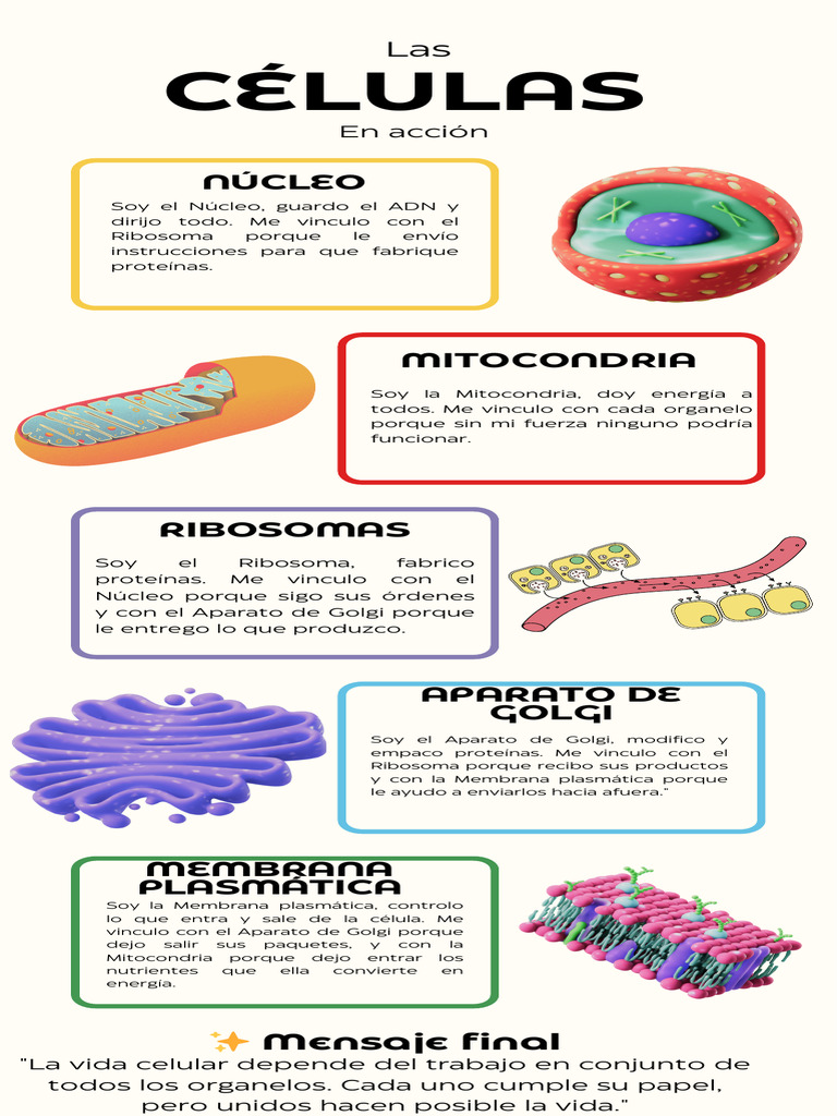 Infografía Consejos para Emprender Dibujo Ilustrado Rojo - 20250918 ...