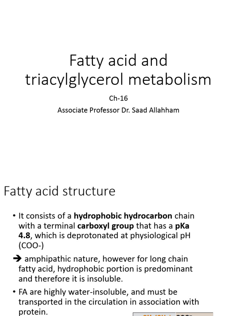 Fatty Acid and Triacylglycerol Metabolism Ch-16 | PDF | Fatty Acid ...