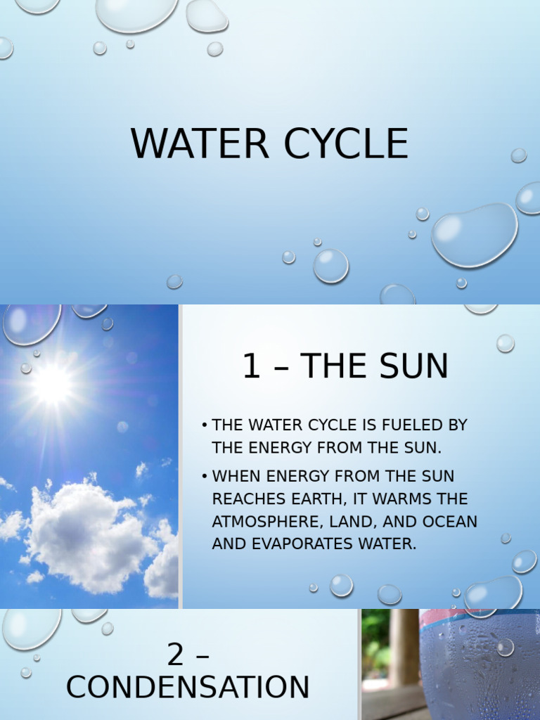 Water Cycle 1 Notes | PDF