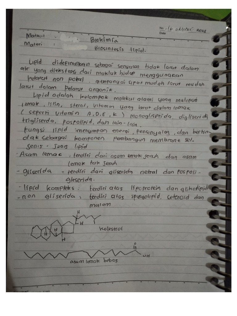 Biosintesis Lipid | PDF