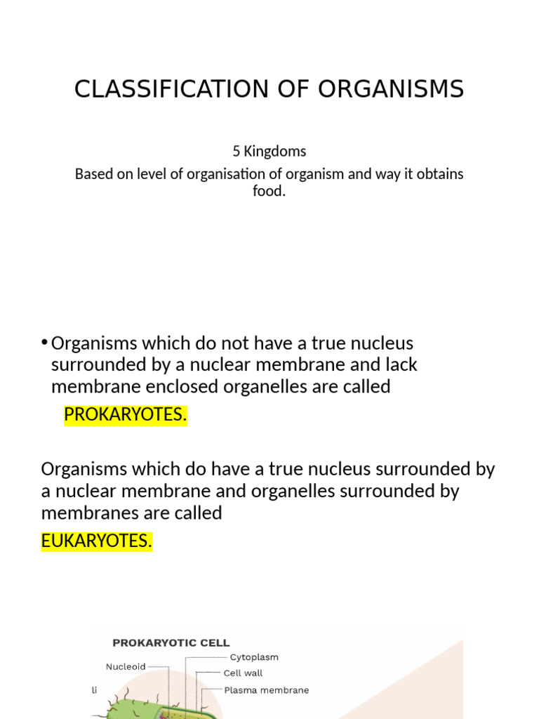 Classification of Organisms | PDF