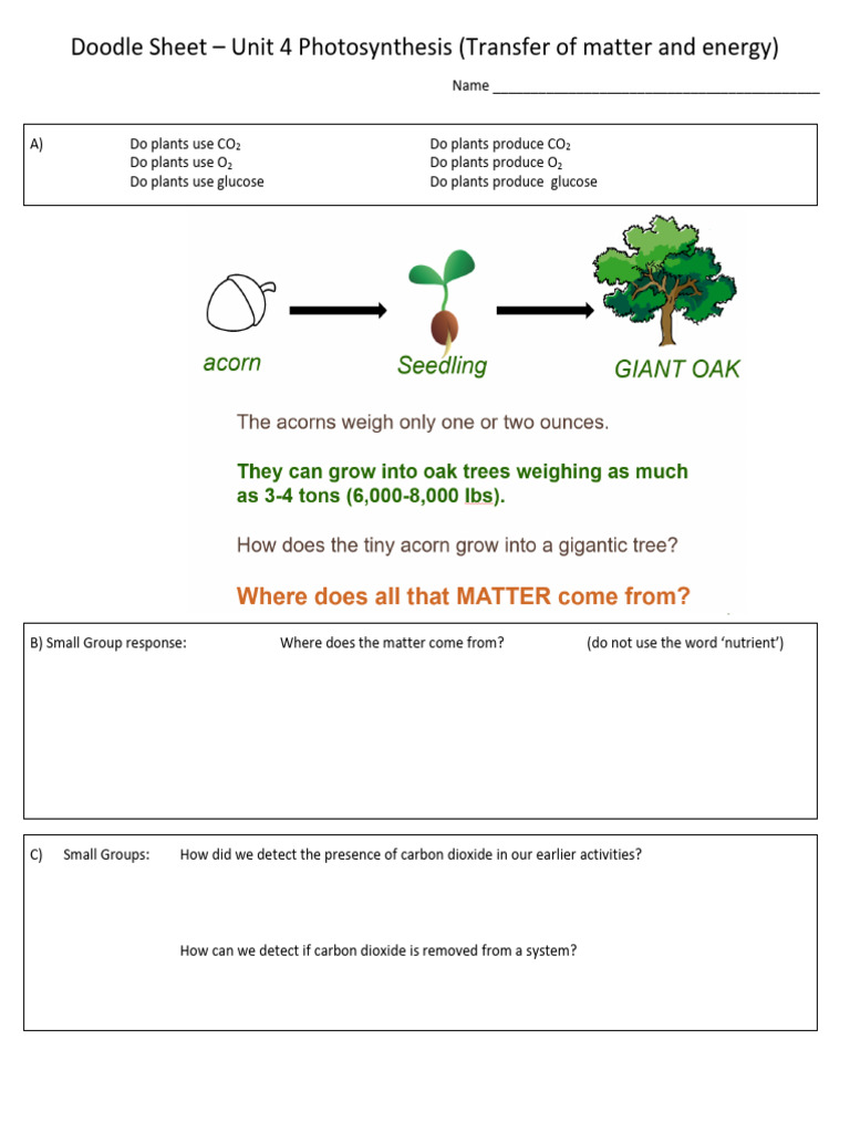 Doodle Sheet Unit 4 Photosynthesis | PDF | Photosynthesis | Cellular ...