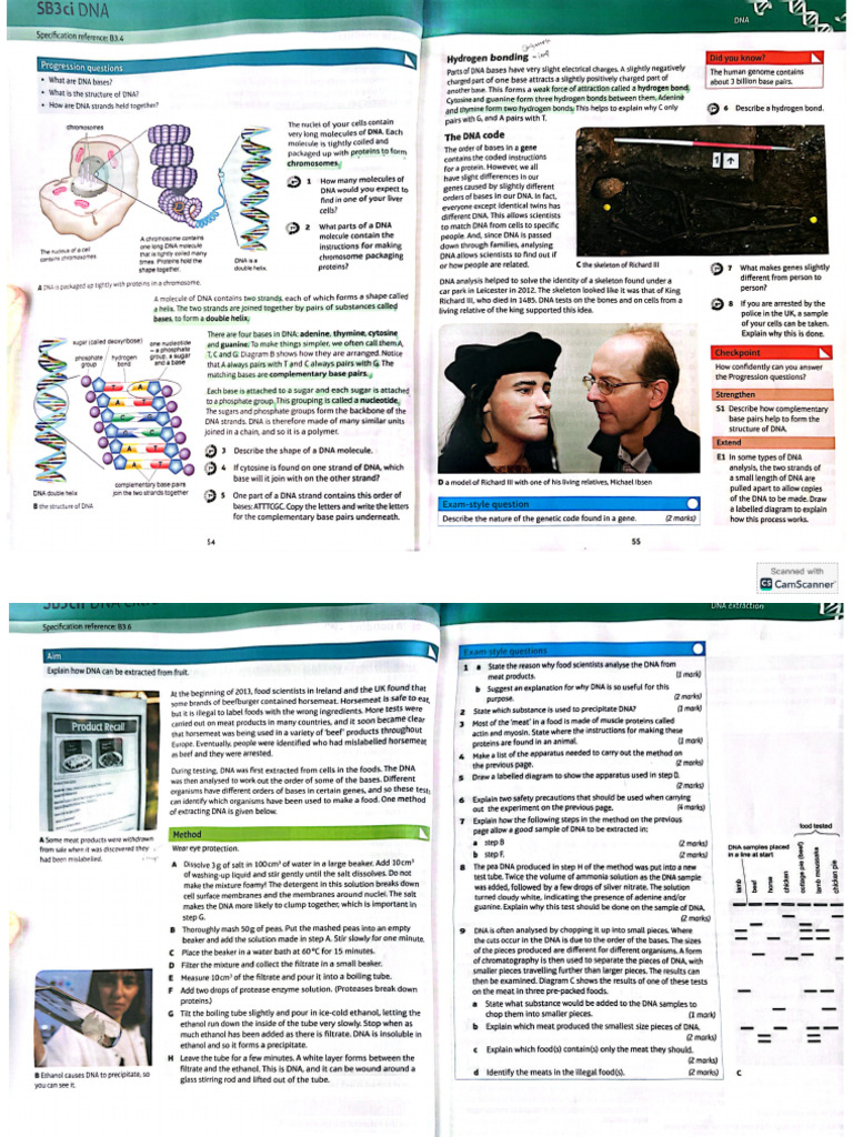 Biology 10 Grade Mid Term Assessment Por | PDF