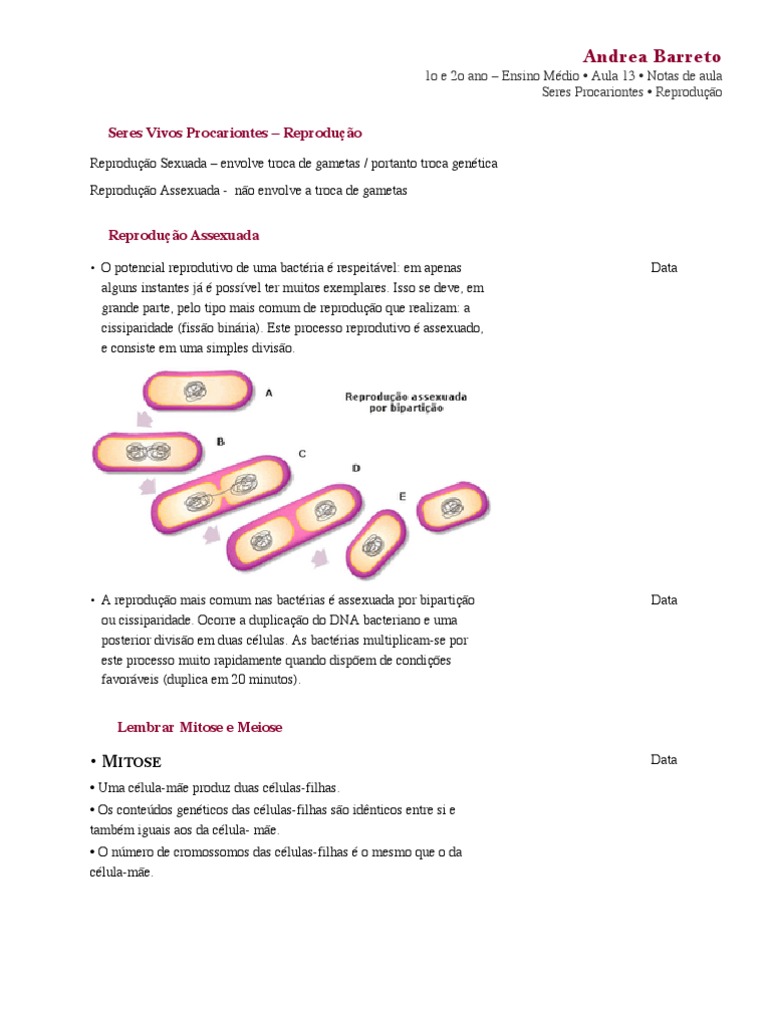 Seres Vivos Procariontes – Reprodução | Bactérias | DNA
