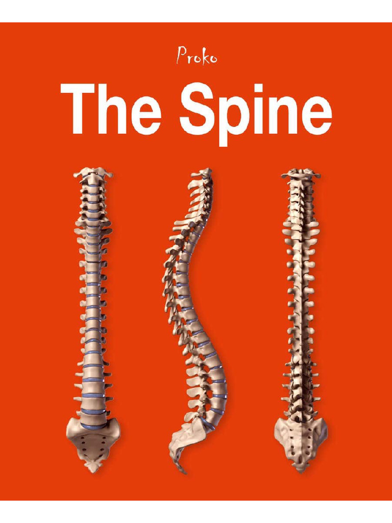 Spine | PDF