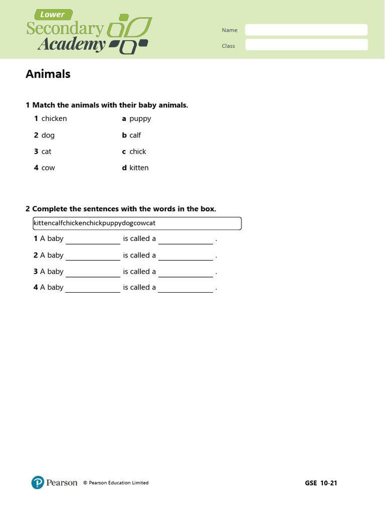 Lower-Secondary Academy V Worksheet GSE 10 21 Animals 1 | PDF