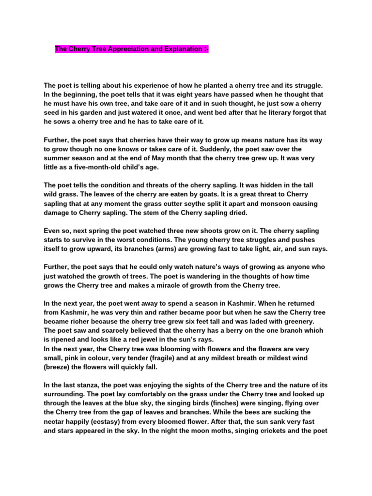 Cherry Tree Poem Appreciation Guide | PDF | Poetry | Trees