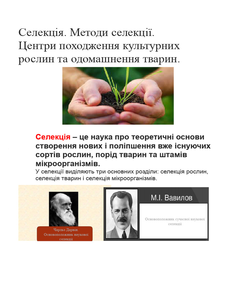 Знімок екрана 2025-05-14 о 20.48.37 | PDF