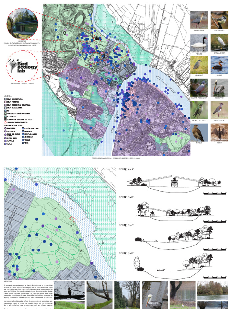 2025 2 TPC I - Parcial U02 01 - Dominikc Garcés | PDF | Entorno natural