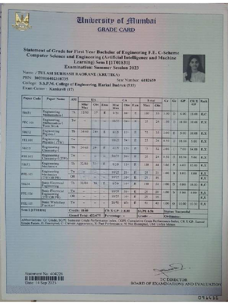 1st Year Marksheet Compressed | PDF