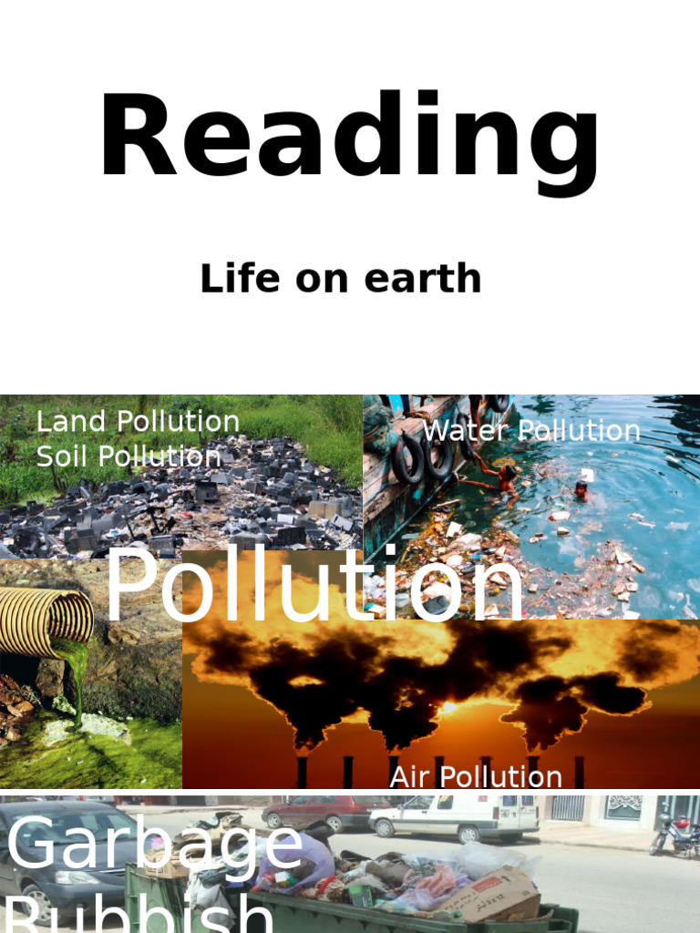 Causes of Water Pollution Explained | PDF | Water Pollution | Water