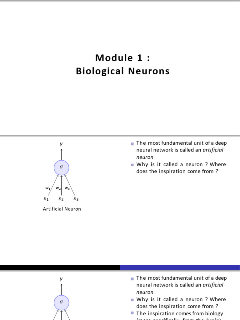 Unit 1.1 Biological Neurons and MP Neuron | PDF | Neuron | Brain
