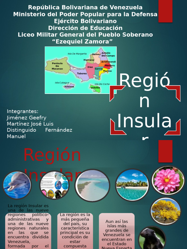 Exposicion Region Insular | PDF | Ciencias de la Tierra | Geografía Física