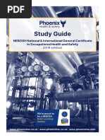 ECC-HSE-F 004 - DSTI Template (Rev 00) | PDF | Risk Assessment | Safety