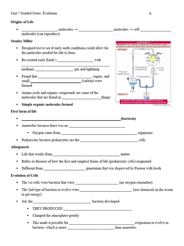 Evolution Unit 3 Guided Notes | PDF | Reproduction | Evolution