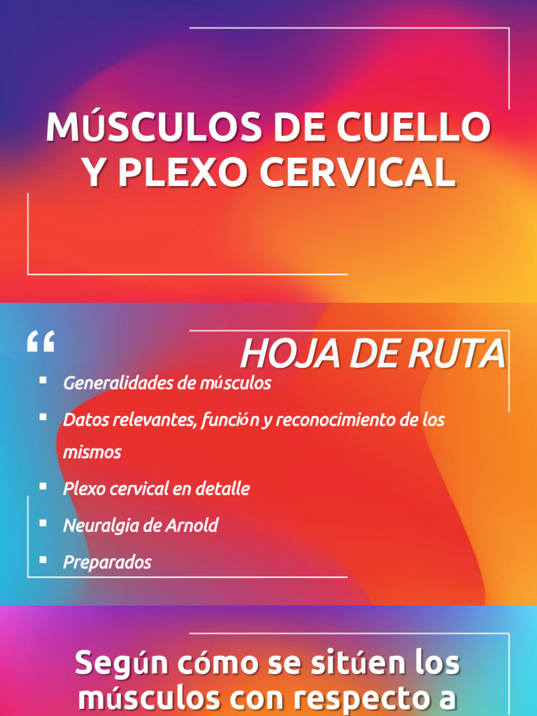 Plexo Cervical y Musculos de Cuello | PDF | Anatomía humana | Sistema ...