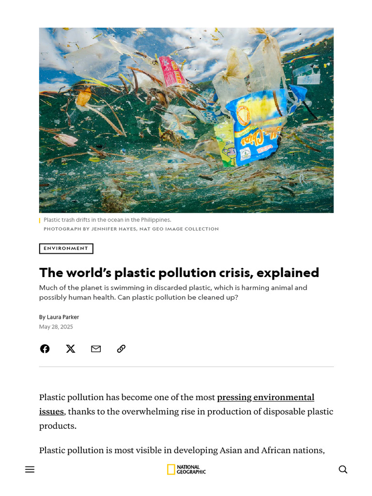 Understanding Plastic Pollution Crisis | PDF | Plastic | Natural ...