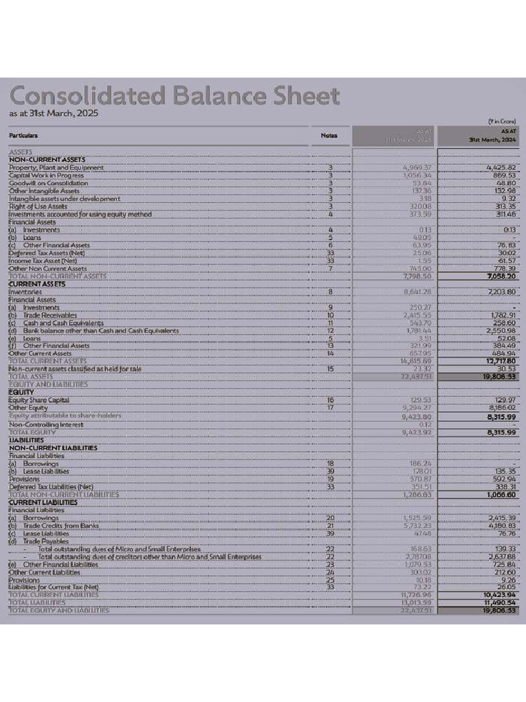Balance Sheet | PDF