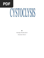 Cystoclysis | PDF | Urinary Tract Infection | Catheter