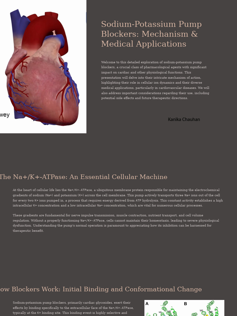 Sodium Potassium Pump Blockers Mechanism and Medical Applications 2 ...