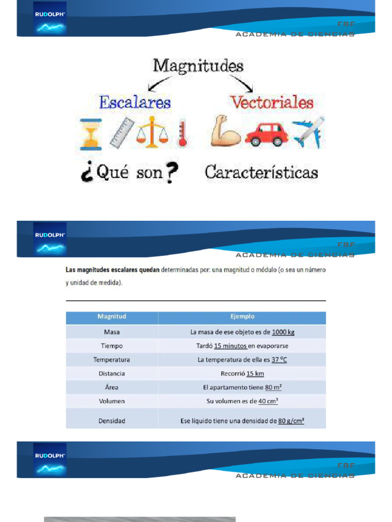 Magnitudes Vectoriales | PDF