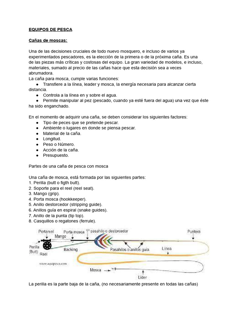 Guía de Cañas de Pesca con Mosca | PDF | Insectos