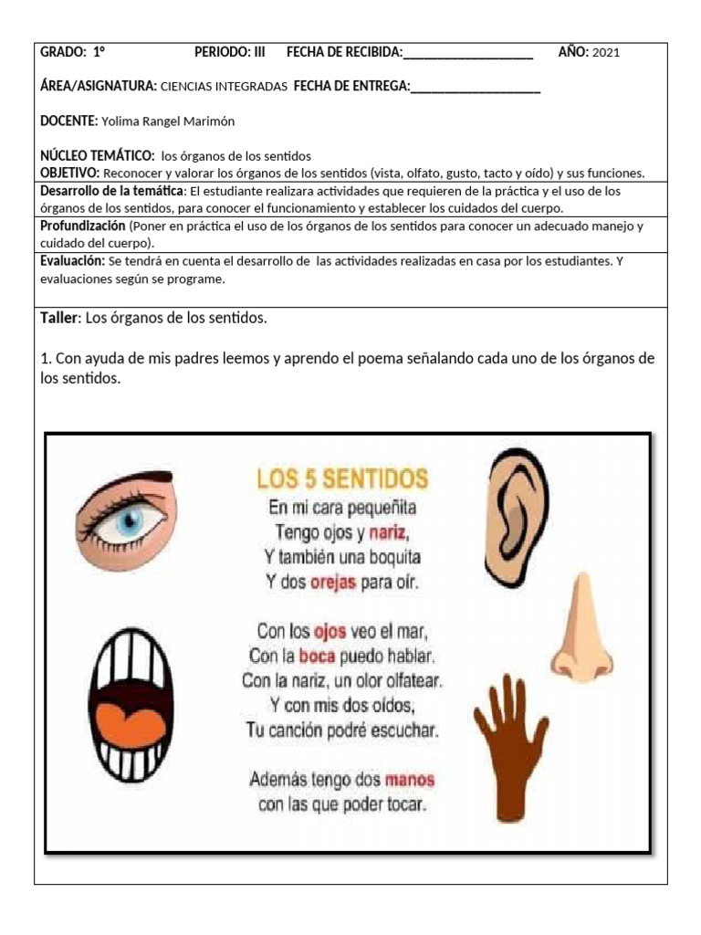 Guia # 4 Ciencias Integradas YOLIMA | PDF
