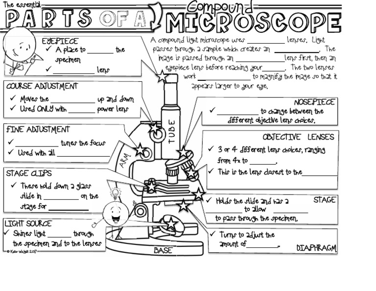 Aria Hubbard - Microscope Doodle Notes Student Work Sheet | PDF