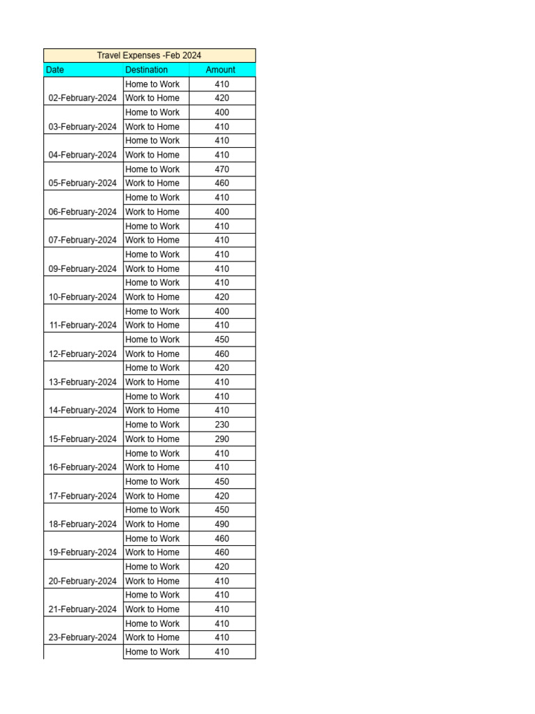 February 2024 Travel Expenses Report | PDF