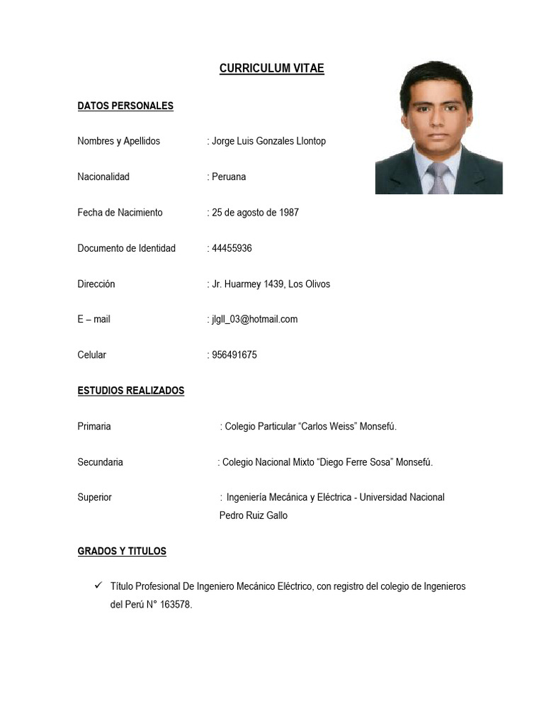 Curriculum Vitae Jorge Luis Gonzales | PDF | Red eléctrica | Gestión de ...
