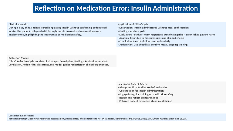Eposter Insulin Reflection | PDF | Patient Safety | Medicine