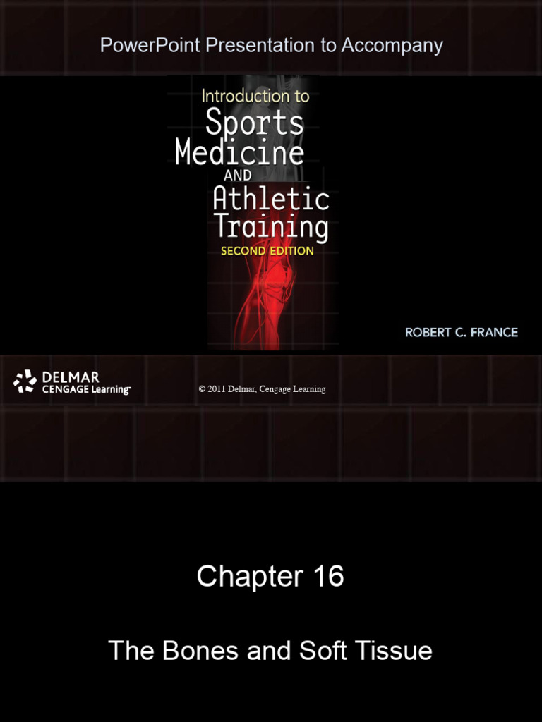 Chapter 16 - Bones and Soft Tissue | PDF | Neuron | Skeletal Muscle
