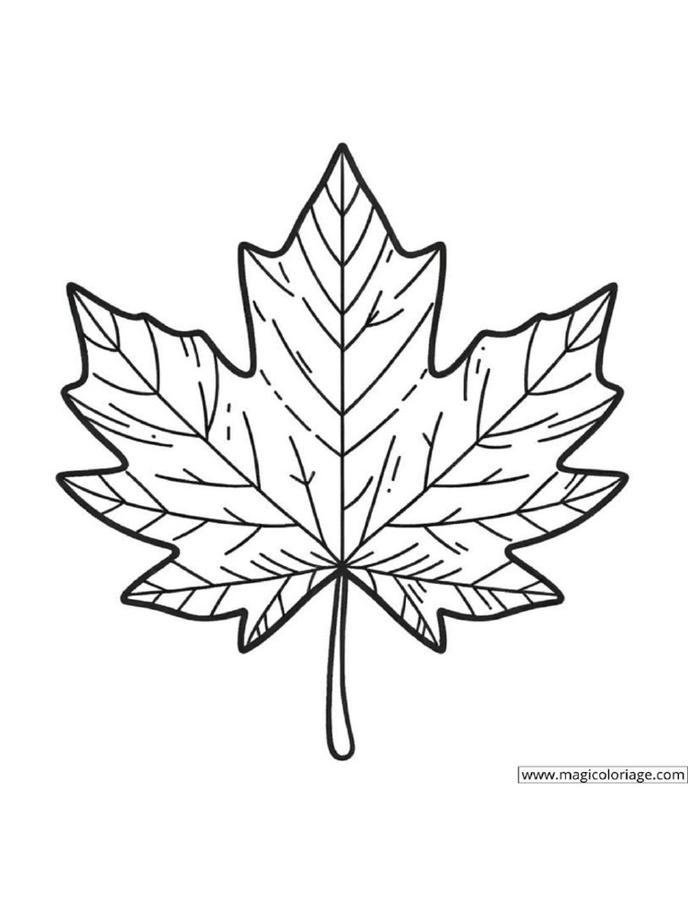 Maple Leaf | PDF