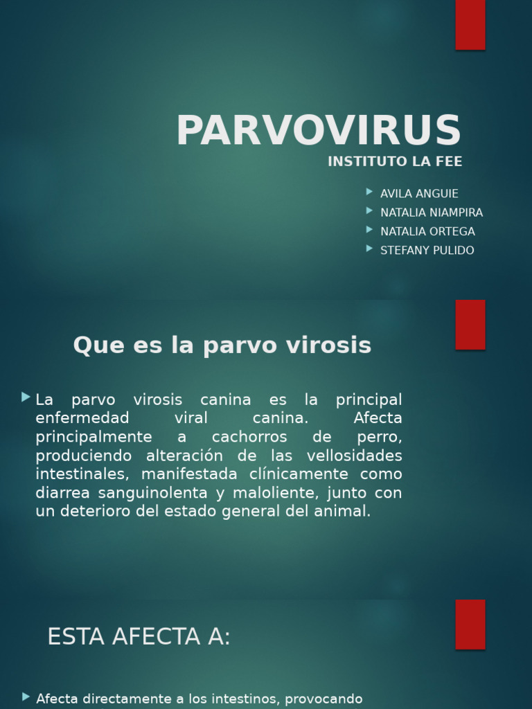 Parvo Virus | PDF