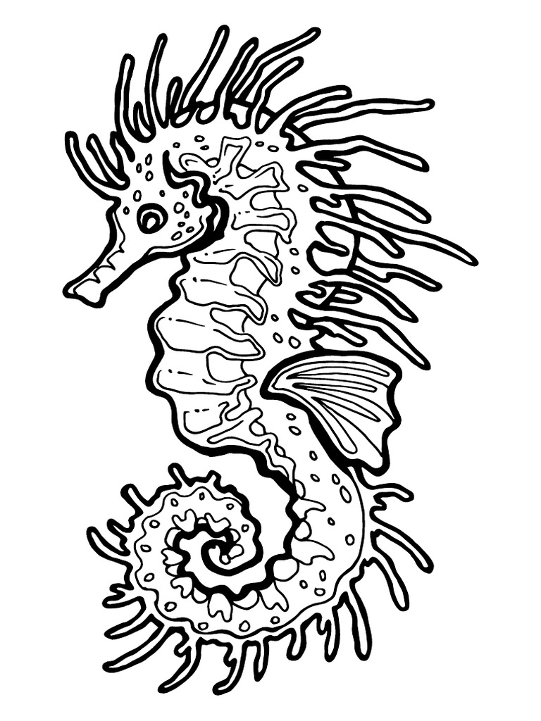 Mindfulness Colouring in Animals | PDF