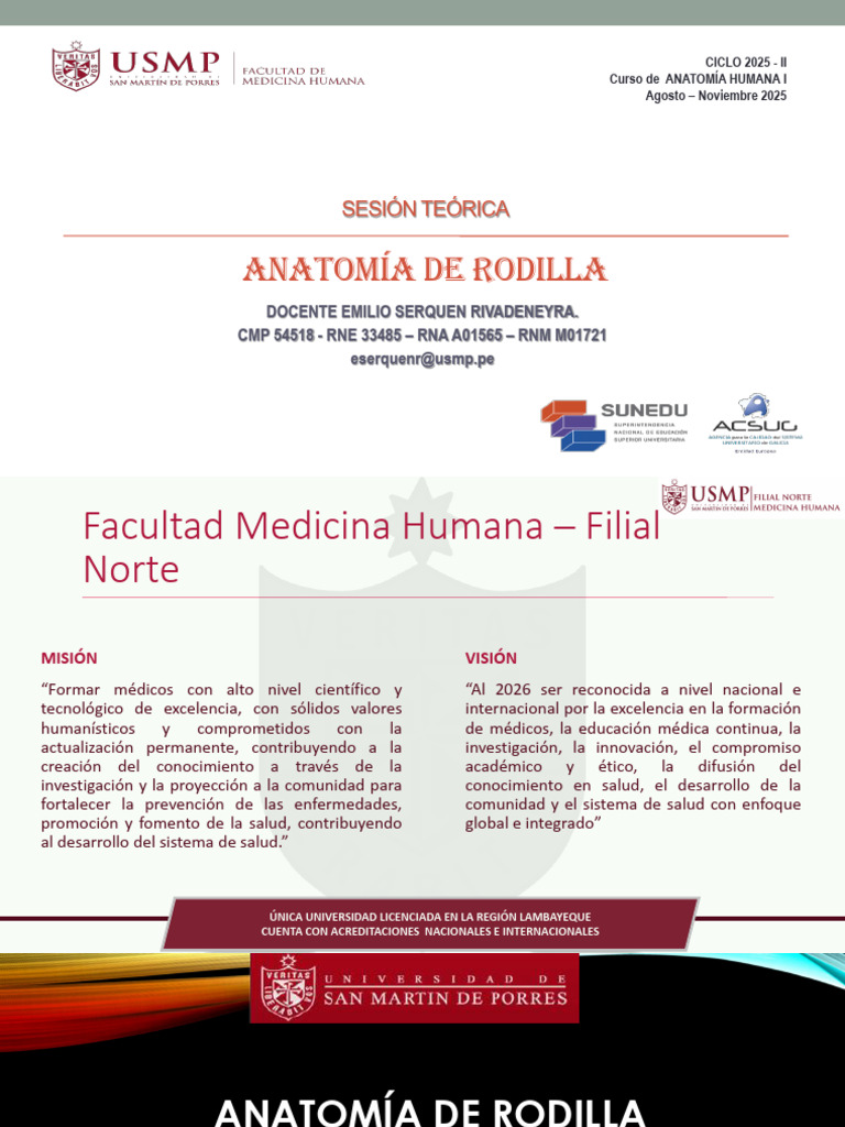 Usmp Ah1 Anatomia de Rodilla DR Serquen. | PDF