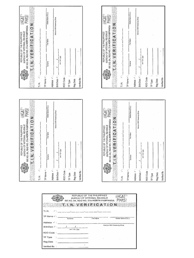 TIN Verification Form | PDF