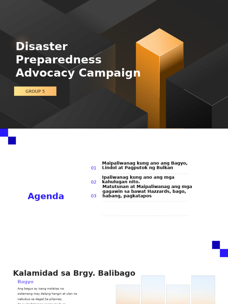 Disaster Preparedness Advocacy Campaign: Group 5 | PDF