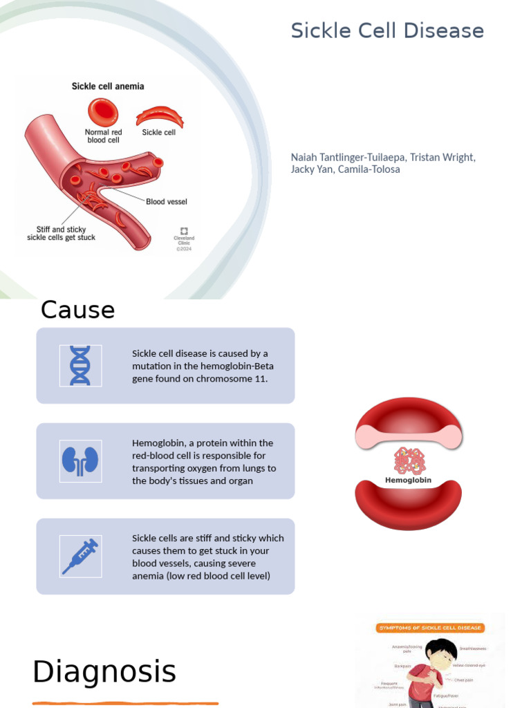 Genetic Disorder Template Pdf Diseases And Disorders Human