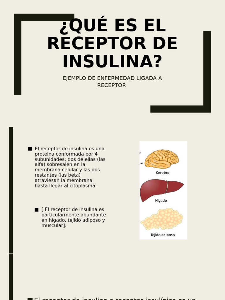 Receptor de Insulina y Metformina | PDF | Receptor (Bioquímica) | Insulina