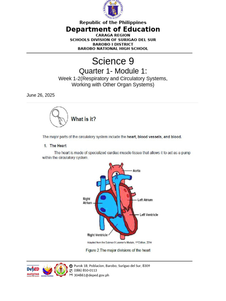 Module Week 1-2 Science 9 | PDF | Circulatory System | Atrium (Heart)