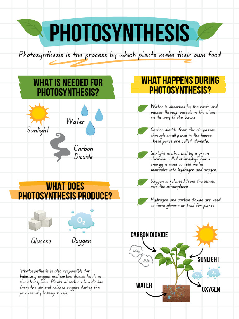 Light Blue and Green Nature Photosynthesis Science Poster | PDF