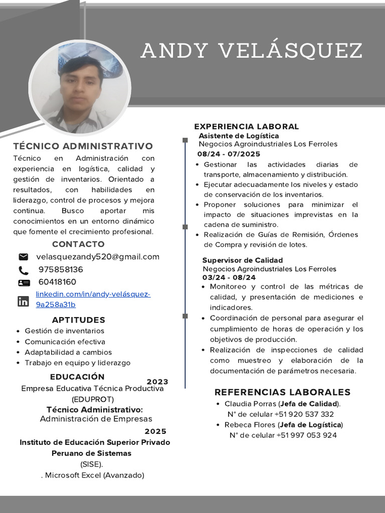 Currículum Vitae. Andy | PDF | Logística | Economias