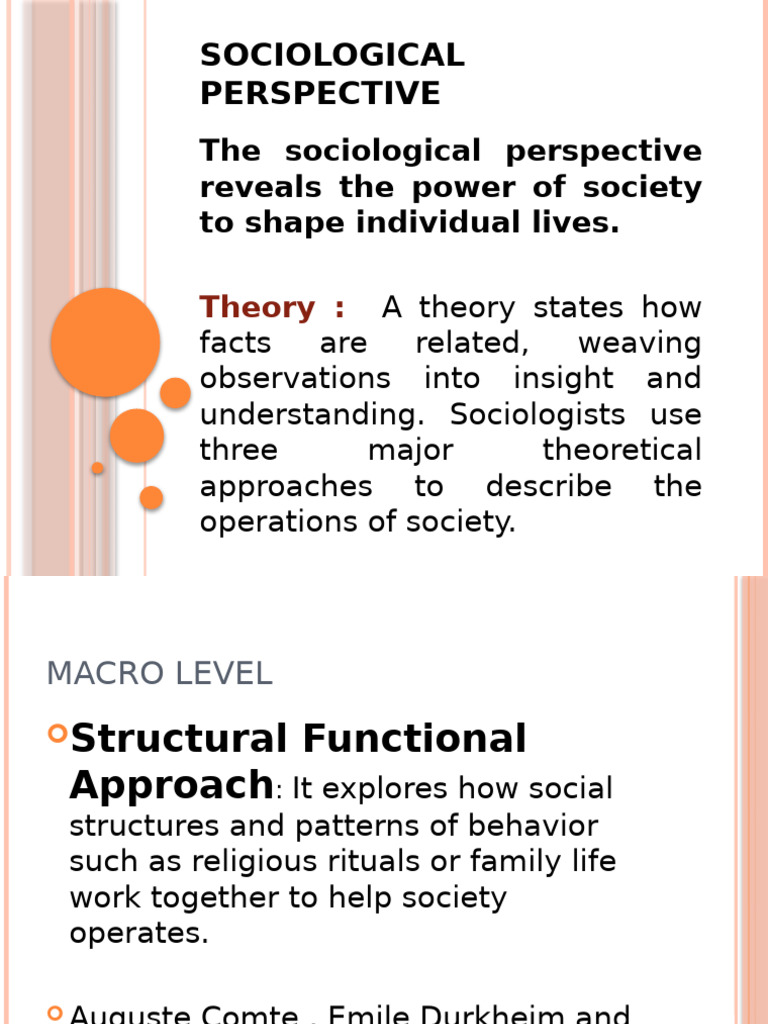 Sociological Perspective | PDF