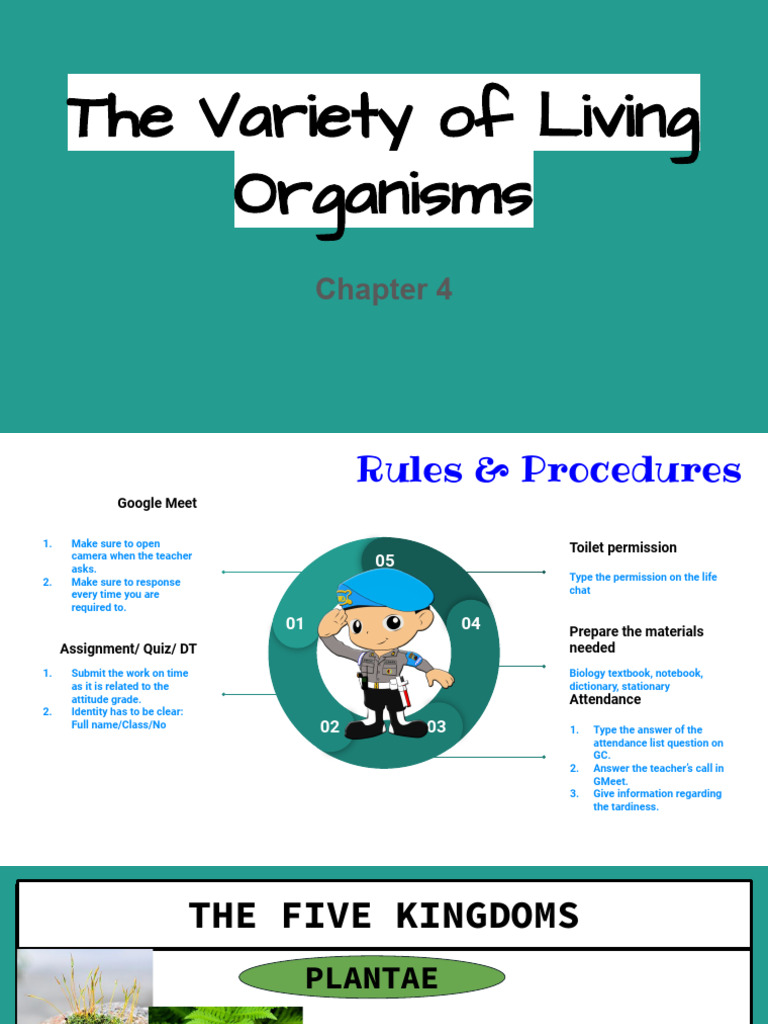 Chapter 4 Bio 7 2022 Part 2 | PDF | Invertebrate | Biology