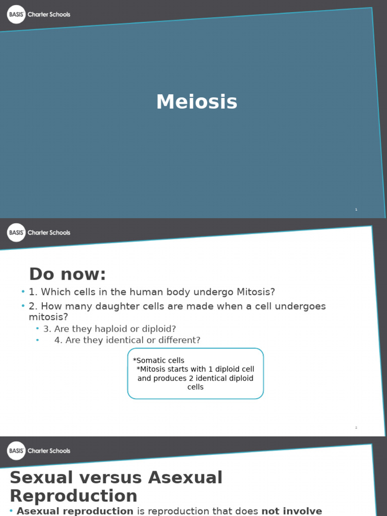 Biology Unit 7 - Asexual Vs Sexual Reproduction | PDF | Sexual ...