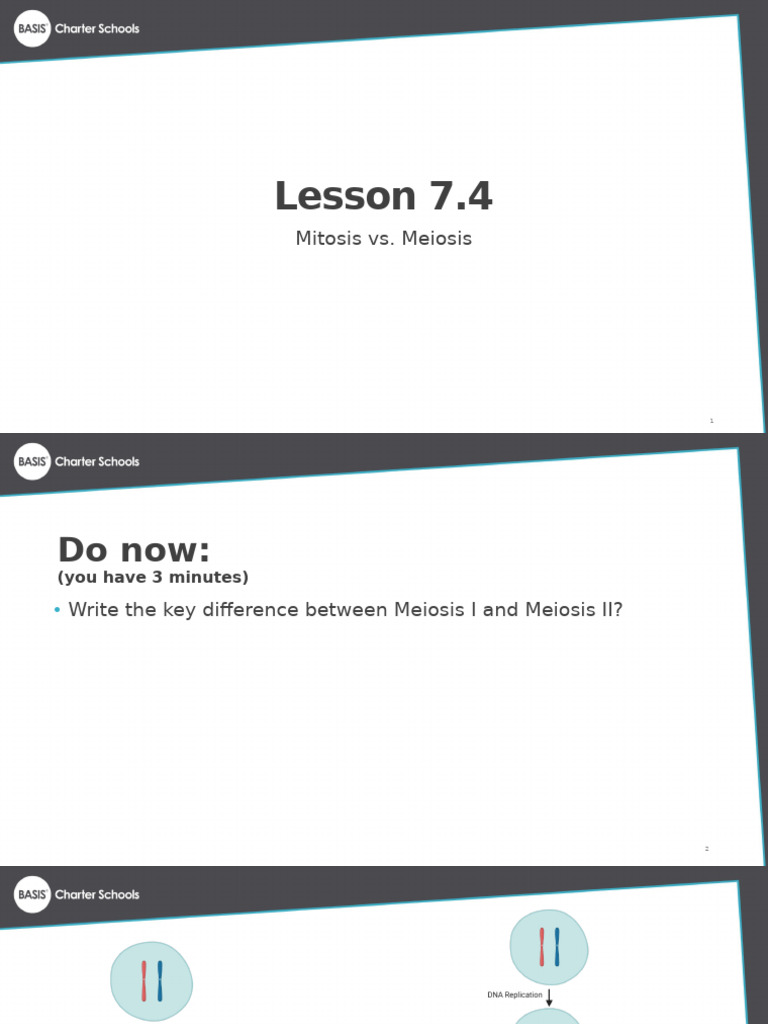 Biology Unit 7 - Meiosis Vs Mitosis | PDF | Ploidy | Reproduction