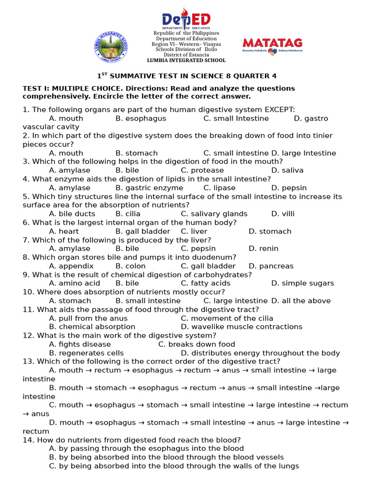 Science 8 Digestive System Test | PDF | Human Digestive System ...