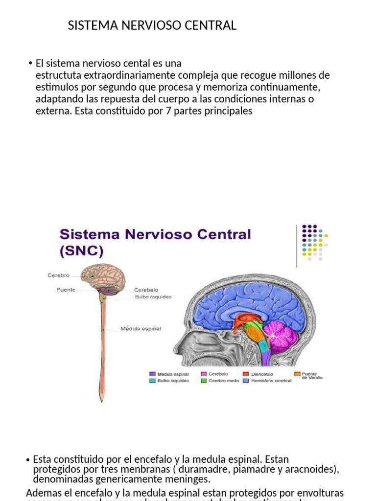 Terminada La Tarea | PDF