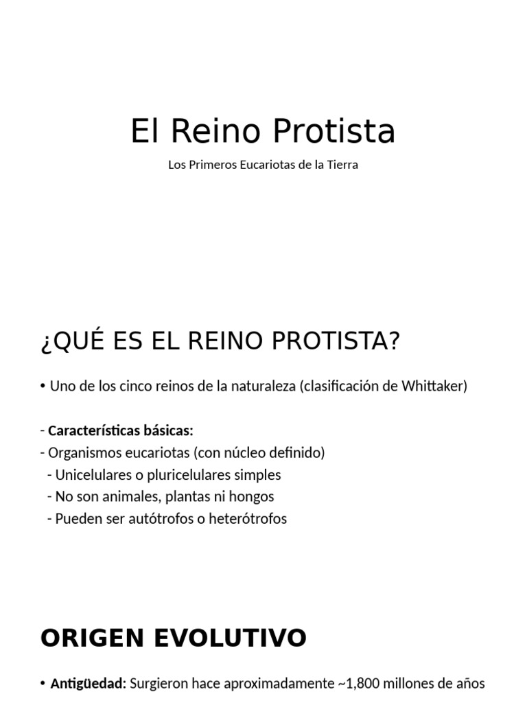 El Reino Protista | PDF | Eucariotas | Algas